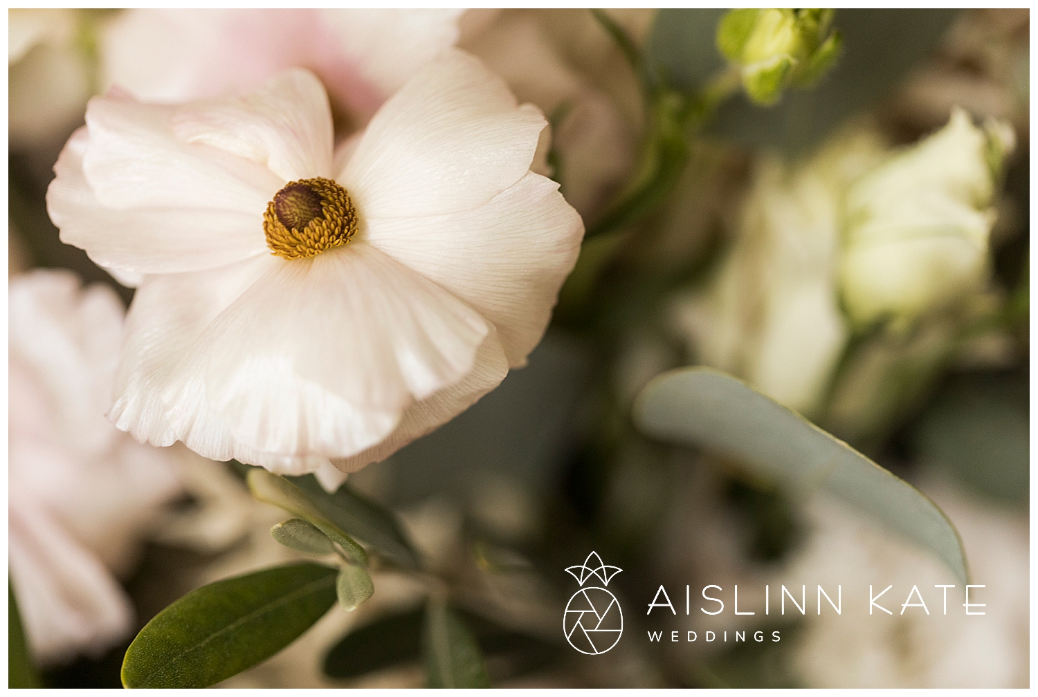 Aislinn Kate WeddingsTaylor + Greyson - Wedding | Aislinn Kate Weddings