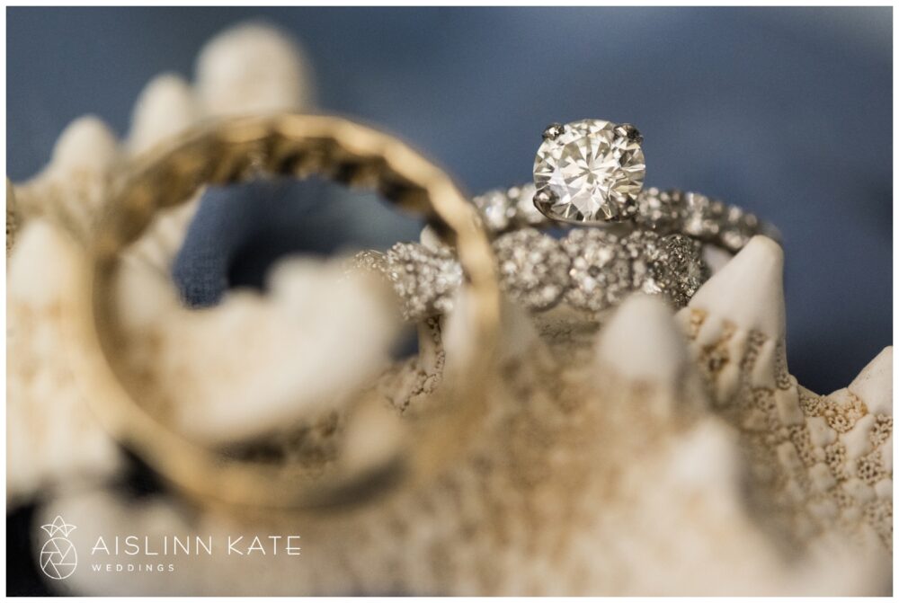 Aislinn Kate WeddingsLindsay + Bubba | Fun Destination Wedding